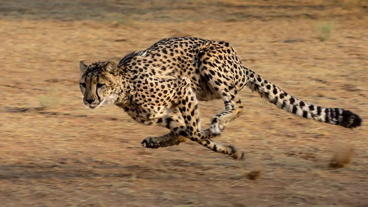 Qlucore Omics Explorer | Qlucore